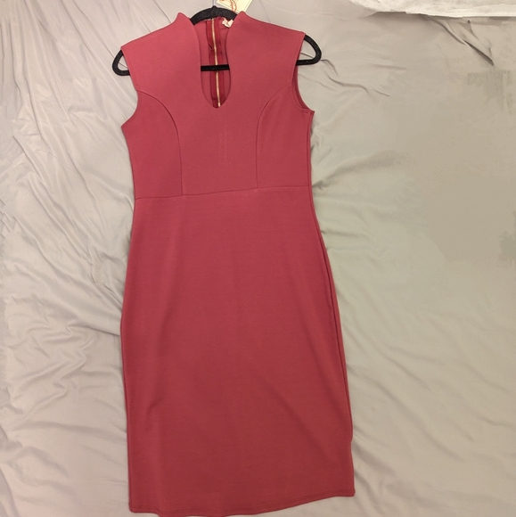Rolla Coster | Dresses | Raspberry Dress | Poshmark